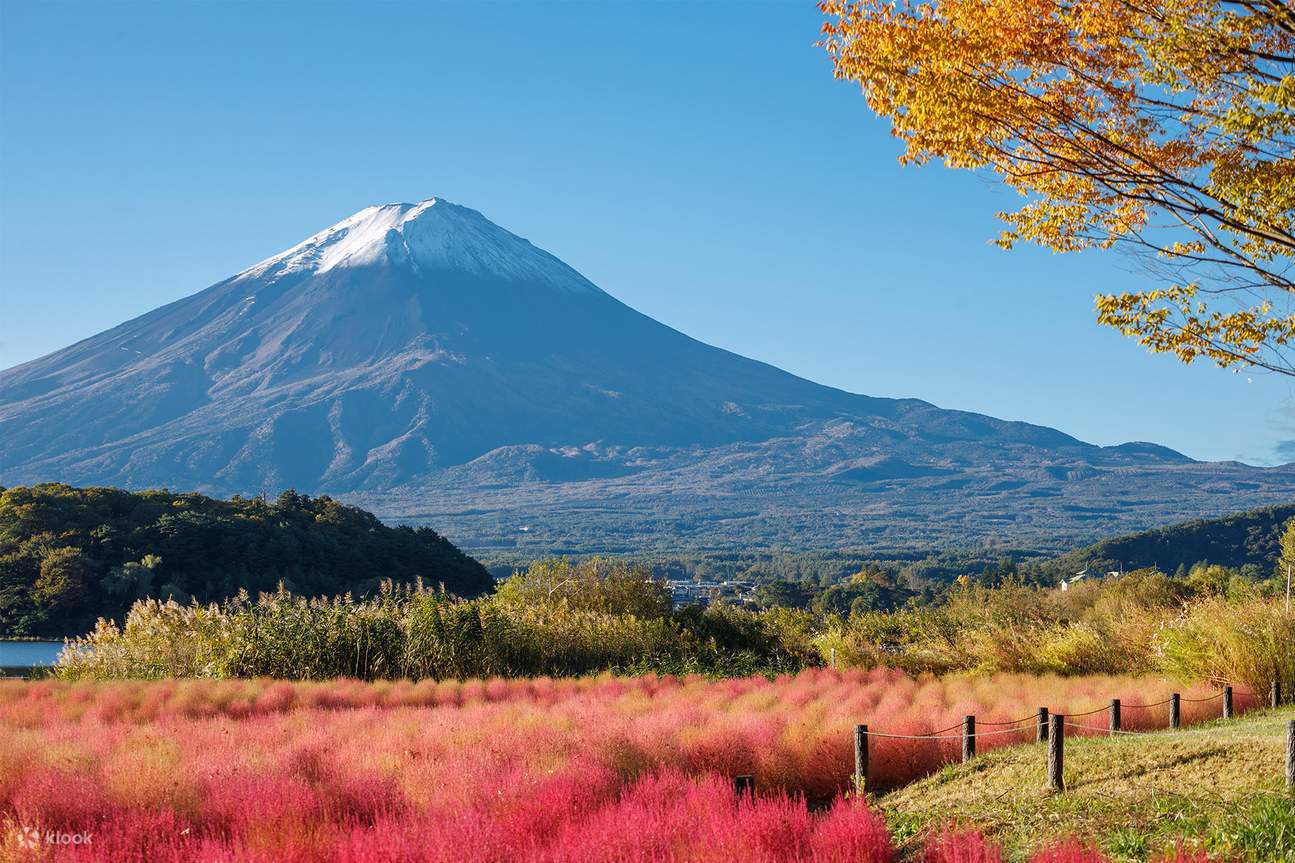 [Mount Fuji Popular Scenic Spot Check-in Day Trip] Itchiku Kubota Art ...